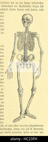 Illustrated page showing human diversity, physical characteristics, and ...