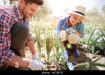 Hands of a man planting his own vegetable garden Stock Photo: 92503137 ...