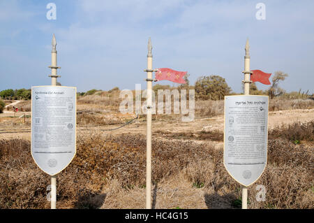 The remains of the old fort of Apolonia, AKA Arsuf, Apollonia is an ...