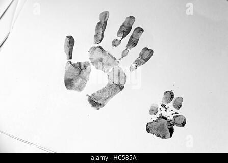 Handprint human and animal paw print seamless. Vector illustration ...