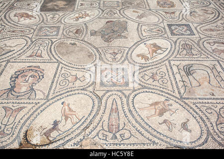 Volubilis Moroccan Marble Stock Photo - Alamy
