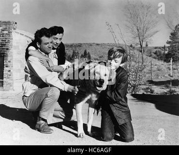 THE SILENT CALL, David McLean, Roger Mobley, 1961, (c) 20th Century Fox ...