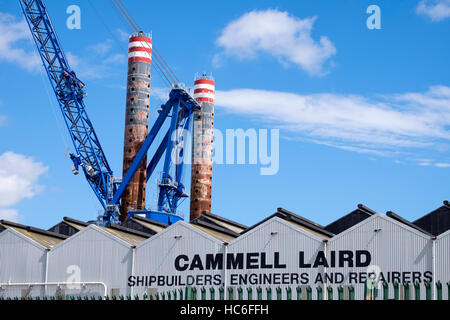 Cammell Laird Large Crane Stock Photo - Alamy