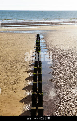 Groynes on the beach at Bridlington in Yorkshire protecting the ...