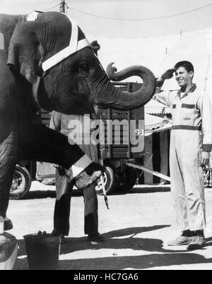 THREE RING CIRCUS, Jerry Lewis, 1954 Stock Photo - Alamy