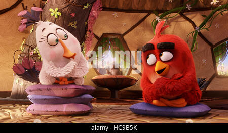 ANGRY BIRDS, (aka THE ANGRY BIRDS MOVIE), from left: Red (voice: Jason ...