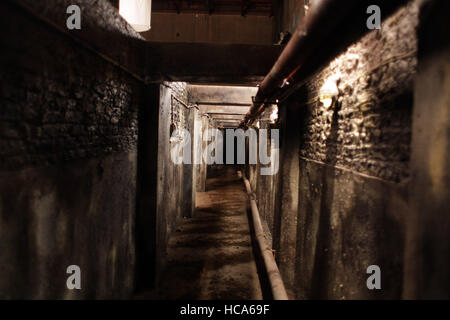 BASEMENT, 2010. ©Revolver Entertainment/Courtesy Everett Collection ...