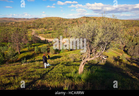 Sacred Canyon Flinders Ranges South Australia Australian Stock Photo ...