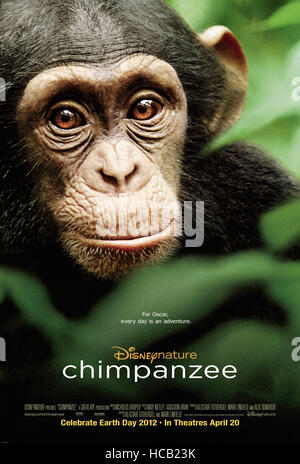 CHIMPANZEE, US poster art, 2012. ©Disneynature/courtesy Everett ...