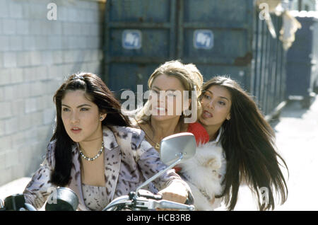 CHASING PAPI, Jaci Velasquez, Sofia Vergara, Roselyn Sanchez, 2003, TM ...