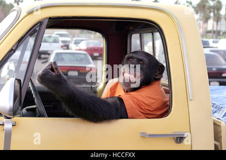 FUNKY MONKEY, 2004, © Warner Brothers/courtesy Everett Collection Stock ...