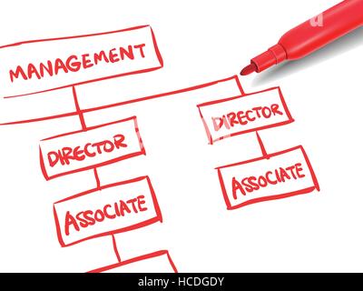 organization chart with a red marker over white Stock Vector Image ...