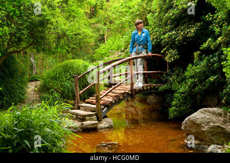 Isamu Taniguchi Japanese Garden, Zilker Botanical Garden Stock Photo ...