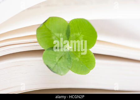 Book and four-leaf clover on lawn Stock Photo - Alamy