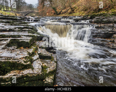 Stainforth Force or Stainforth Foss on the River Ribble in Autumn ...