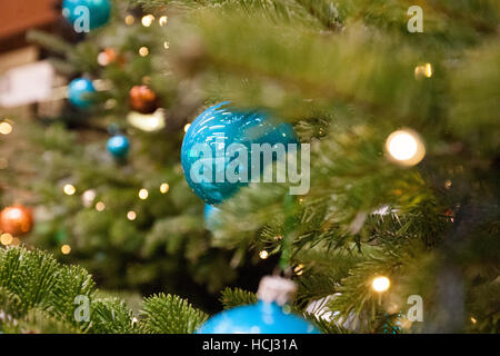 Gdansk, Poland 10 December 2016 Christmas trees decorated with boubles ...