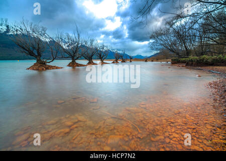 The Famous Willow Trees of Glenorchy, New Zealand Stock Photo - Alamy