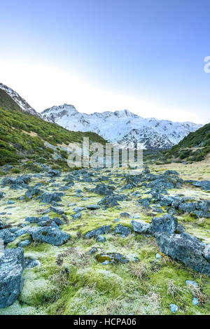 Rock with mount cook background Stock Photo - Alamy