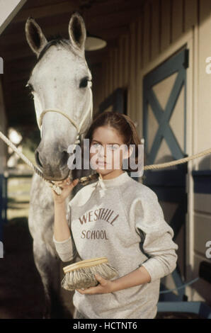 THE HORSE IN THE GRAY FLANNEL SUIT, Kurt Russell, 1968 Stock Photo - Alamy