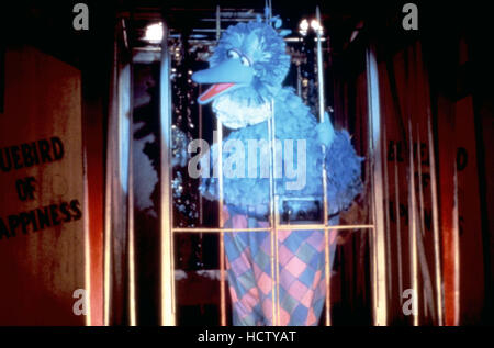 FOLLOW THAT BIRD, (aka SESAME STREET PRESENTS FOLLOW THAT BIRD), Big ...