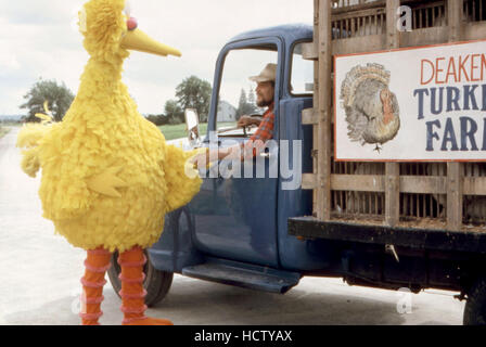 FOLLOW THAT BIRD, (aka SESAME STREET PRESENTS FOLLOW THAT BIRD), Mommy ...