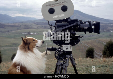 LASSIE, Lassie, 1994, (c)Paramount Pictures/courtesy Everett Collection ...