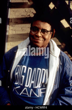 THE METEOR MAN, James Earl Jones, Cynthia Belgrave, Tommy Redmond Hicks ...