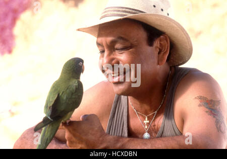 PAULIE, Paulie the parrot, 1998, © DreamWorks/courtesy Everett ...