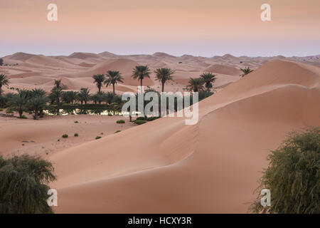Al-Ain Desert oasis, Abu Dhabi, UAE Stock Photo: 30150015 - Alamy