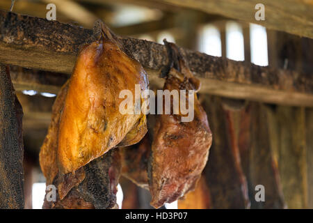 Hákarl, national dish of fermented Greenland shark (Somniosus ...