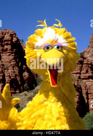 SESAME STREET, Big Bird, 1969-current Stock Photo - Alamy