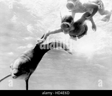 FLIPPER, Luke Halpin, 1964-68 Stock Photo - Alamy