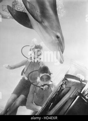 FLIPPER, Luke Halpin, 1964-68 Stock Photo - Alamy