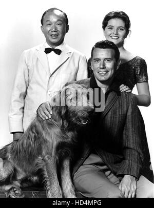 BACHELOR FATHER, Sammee Tong, John Forsythe, Noreen Corcoran, 1957-62 ...