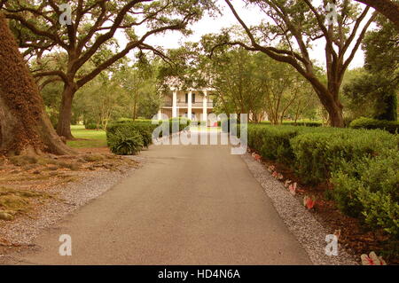 antebellum sugar plantation on the Mississippi river in LOUISIANA USA ...