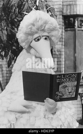 SESAME STREET, Big Bird, 1969-current Stock Photo - Alamy