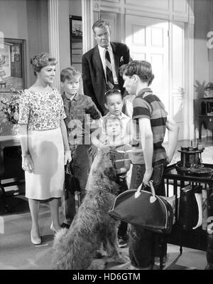 ROOM FOR ONE MORE, Ronnie Dapo, Jimmy Baird, Carol Nicholson, Peggy ...