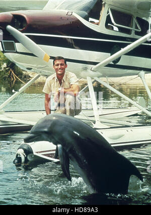 FLIPPER, Brian Kelly, 1964-68 Stock Photo - Alamy