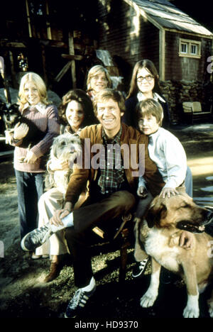 APPLE'S WAY, Vincent Van Patten, 1974-75 Stock Photo - Alamy