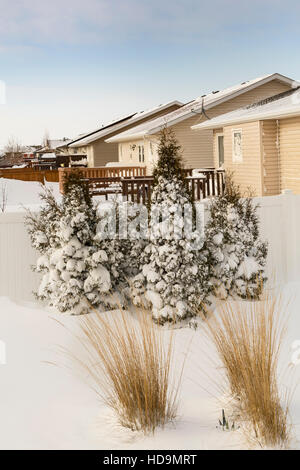 A backyard snow scene after a blizzard in Winkler, Manitoba, Canada ...