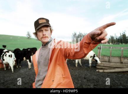 BITTER HARVEST, Ron Howard, 1981. © Charles Fries Prod. / Courtesy ...