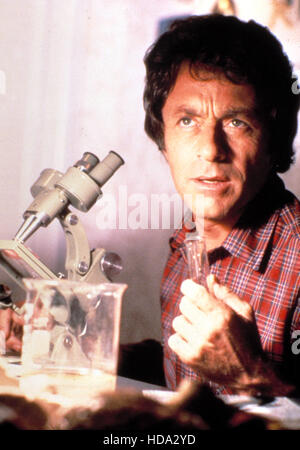 THE INCREDIBLE HULK, Bill Bixby, 1978-82. © Universal Television ...