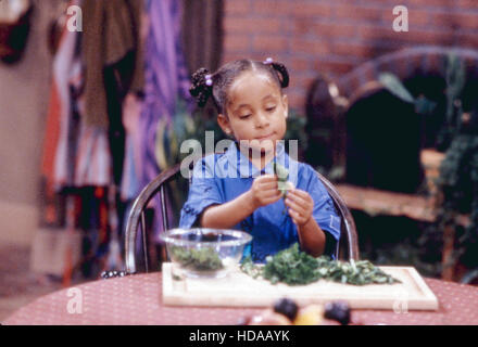 THE COSBY SHOW, Raven-Symone, Season 6, (1989-1990). 1984-1992. (c ...