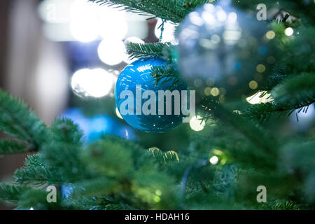 Gdansk, Poland 10 December 2016 Christmas trees decorated with boubles ...