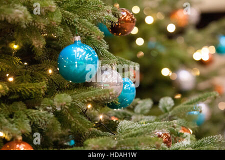 Gdansk, Poland 10 December 2016 Christmas trees decorated with boubles ...