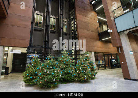 Gdansk, Poland 10 December 2016 Christmas trees decorated with boubles ...