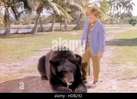 GENTLE BEN, Clint Howard, 1967-69 Stock Photo - Alamy