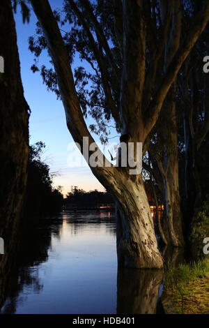 Murray River, Barham, New South Wales, Australia Stock Photo - Alamy