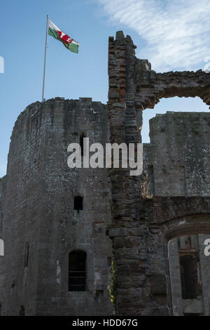 Welsh flag flying Stock Photo - Alamy