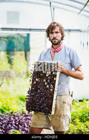 Caucasian business man working at small business ecommerce holding ...